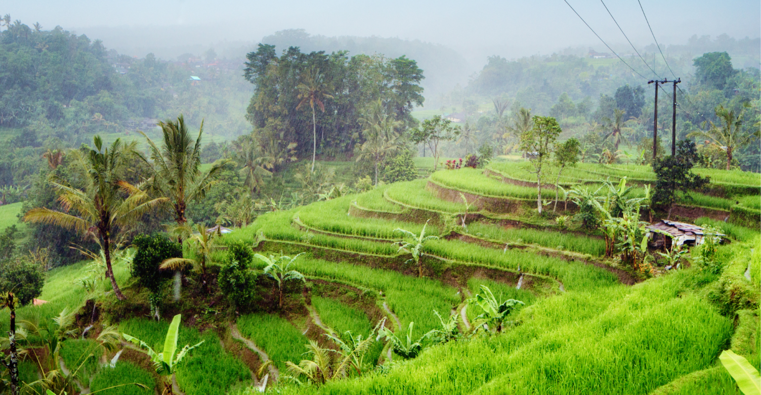 MENGENAL SUBAK, SISTEM PENGAIRAN SAWAH BERBASIS HUKUM ADAT BALI – IPB ...